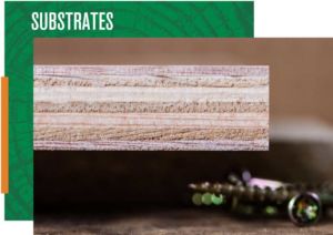 Architectural Plywood - Timber Products